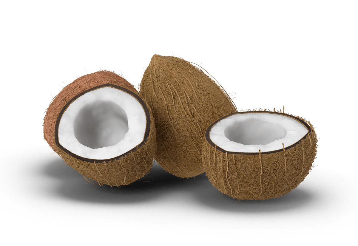 Coir Fibre • Goonvean Fibres